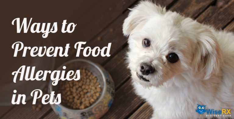 Tips to Prevent Food Allergy Flare-Ups in Pets - WiseRxcard