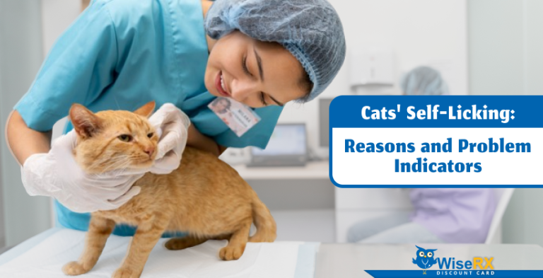 Why Cats Lick Themselves: 7 Common Reasons and Problem